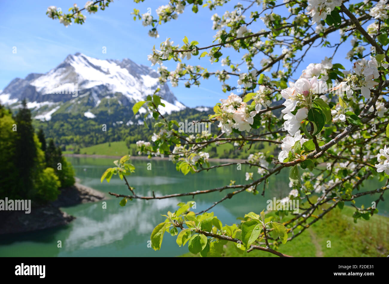 Spring in Switzerland Stock Photo - Alamy