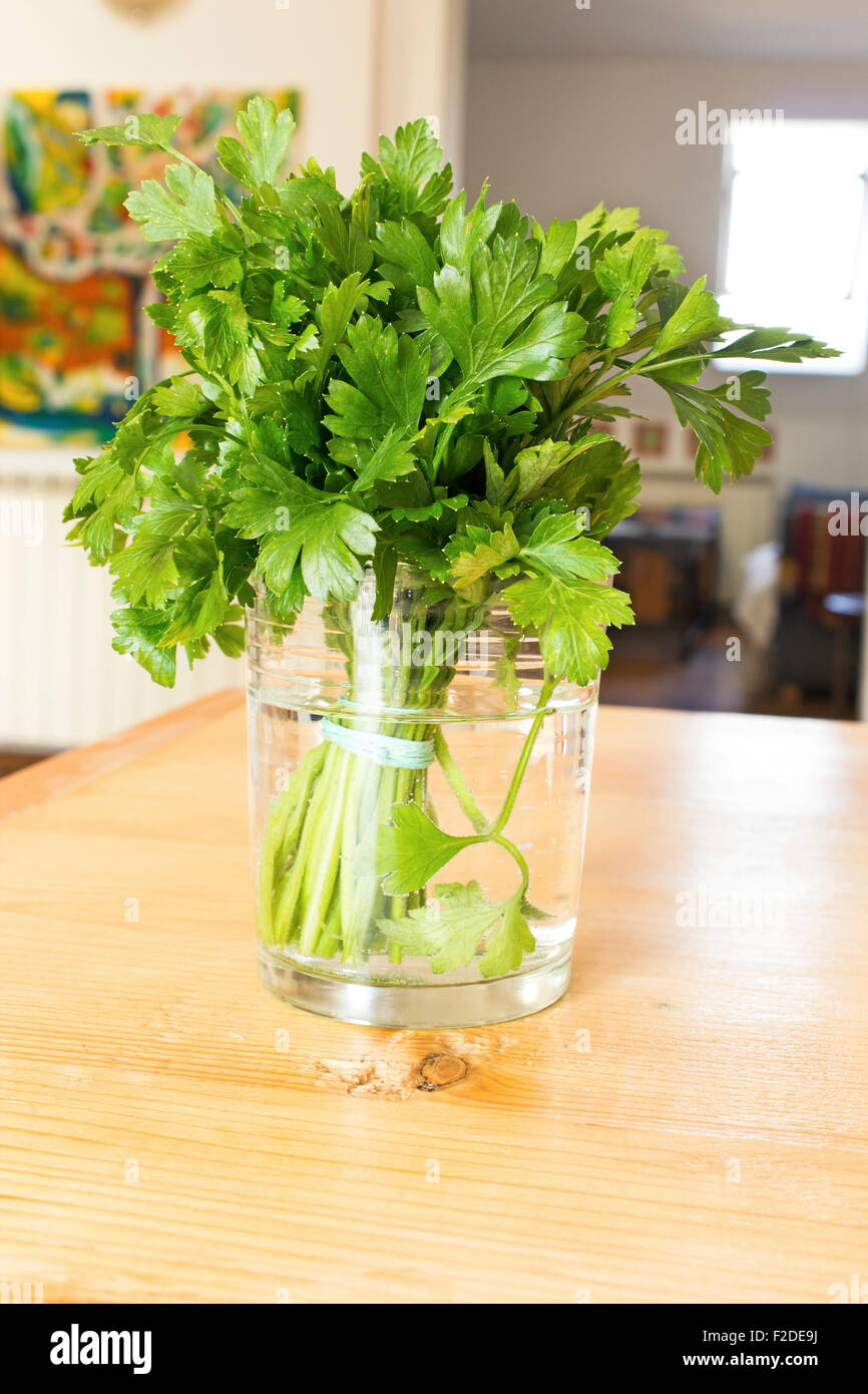 Parsley in a glass of water on the plank table Stock Photo - Alamy