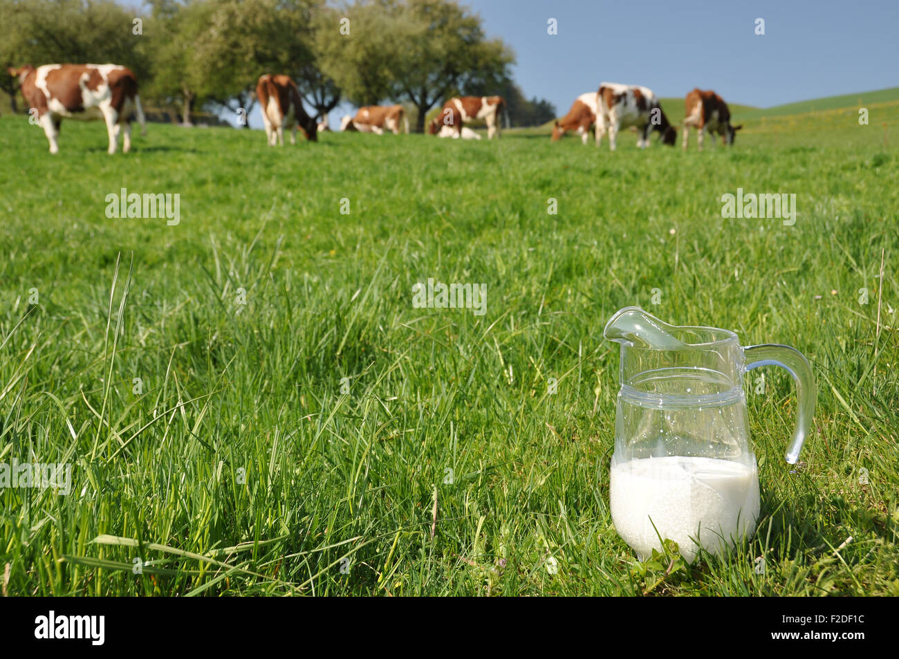 Emmental region, Switzerland Stock Photo - Alamy