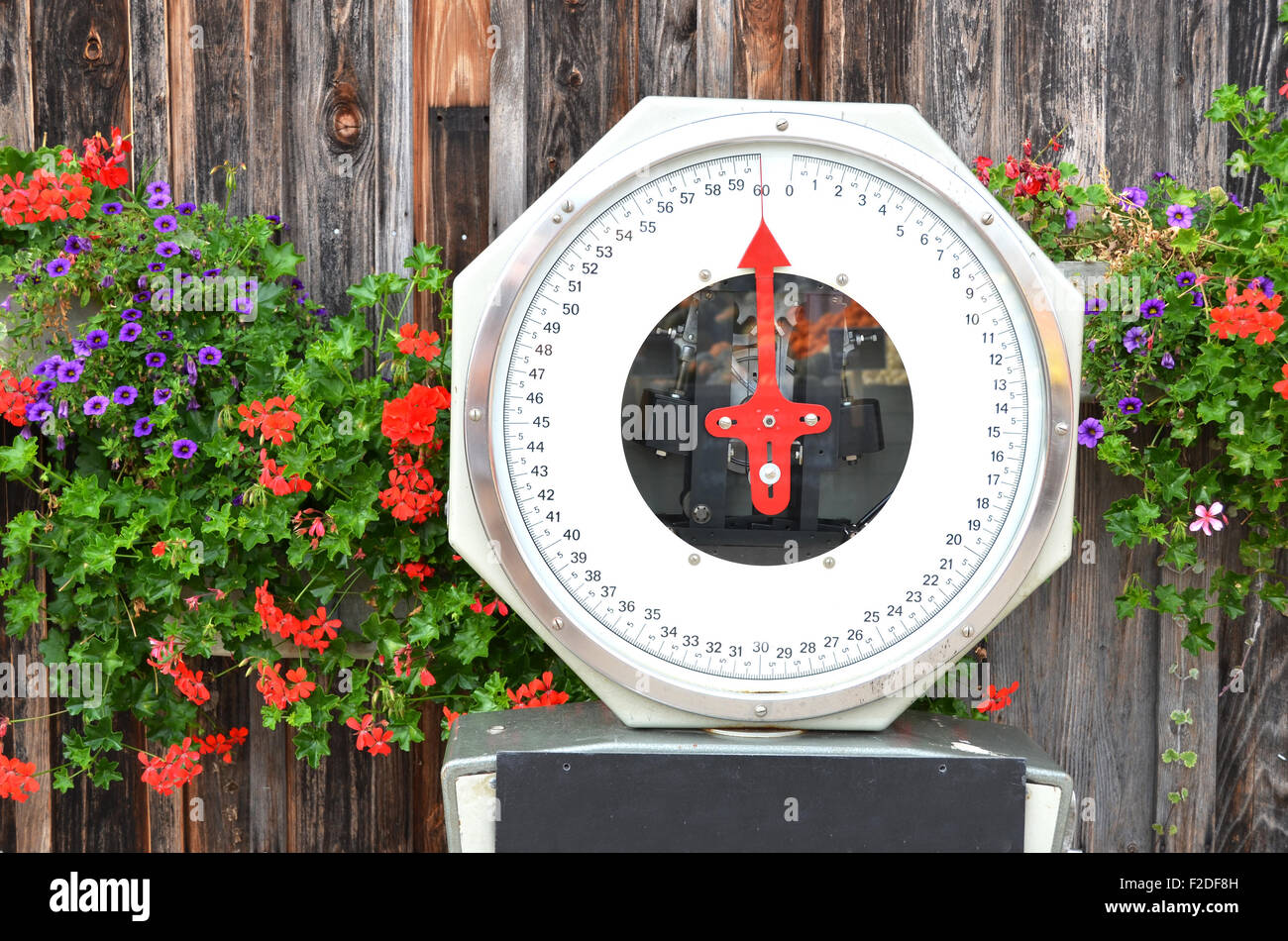 Weighs balance hi-res stock photography and images - Alamy