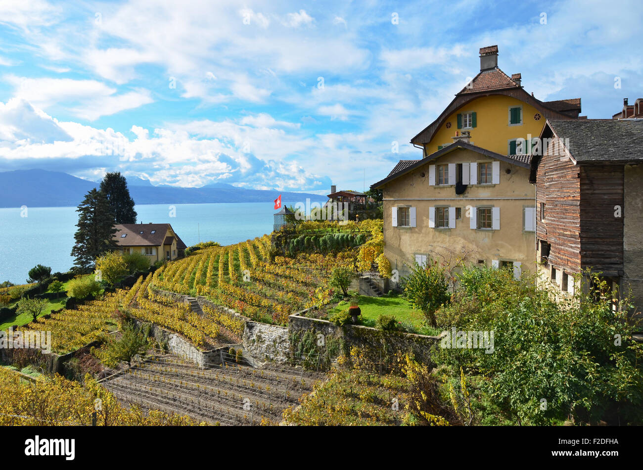 Vineyards in Lavaux region, Switzerland Stock Photo - Alamy