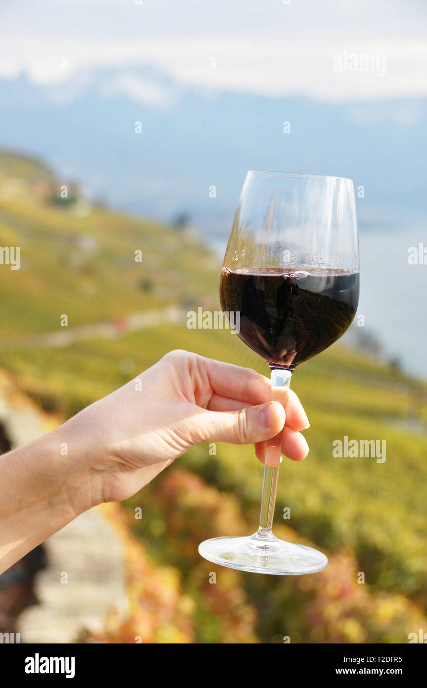 Glass of red wine in the hand against vineyards in Lavaux region ...