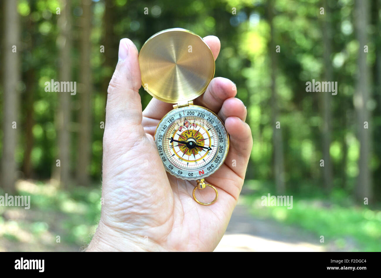 Compass in the hand Stock Photo - Alamy