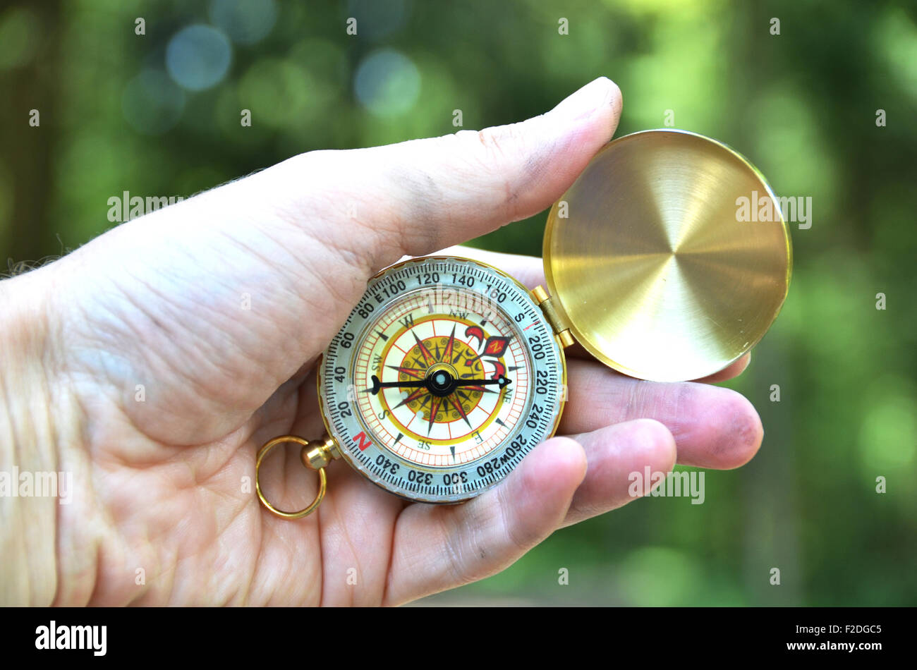 Compass in the hand Stock Photo - Alamy