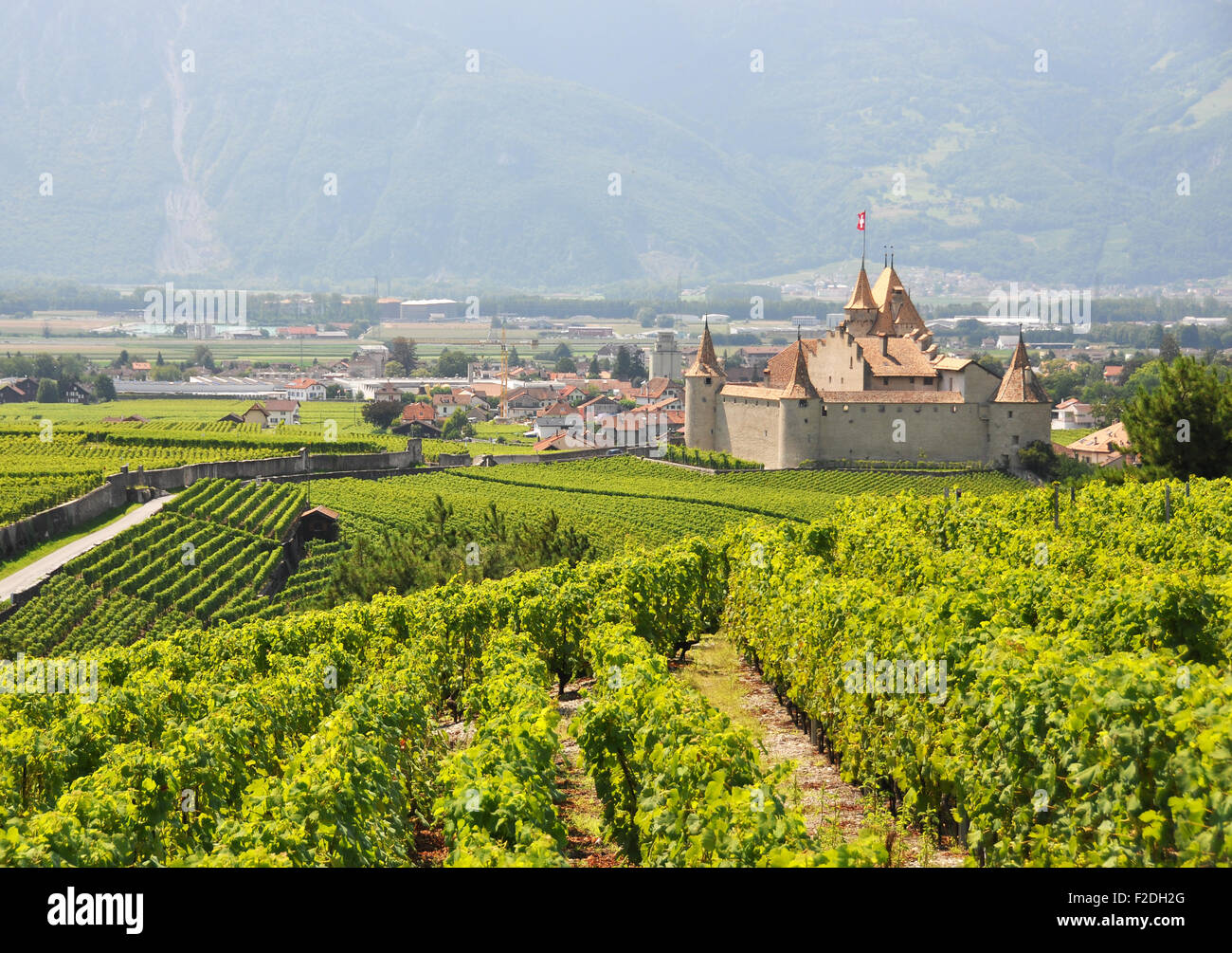Famous castle Chateau d'Aigle in canton Vaud, Switzerland Stock Photo ...