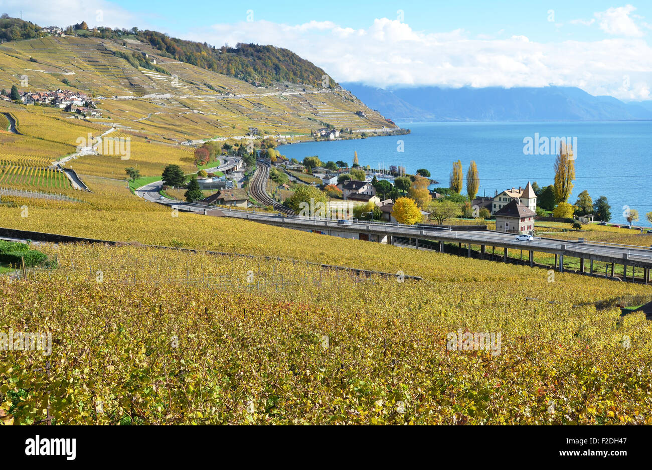 Vineyards in Lavaux region, Switzerland Stock Photo - Alamy