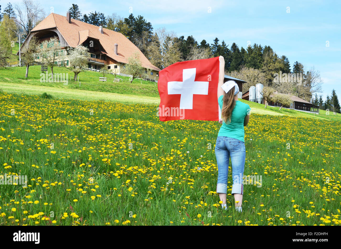 House with the swiss flag hi-res stock photography and images - Alamy