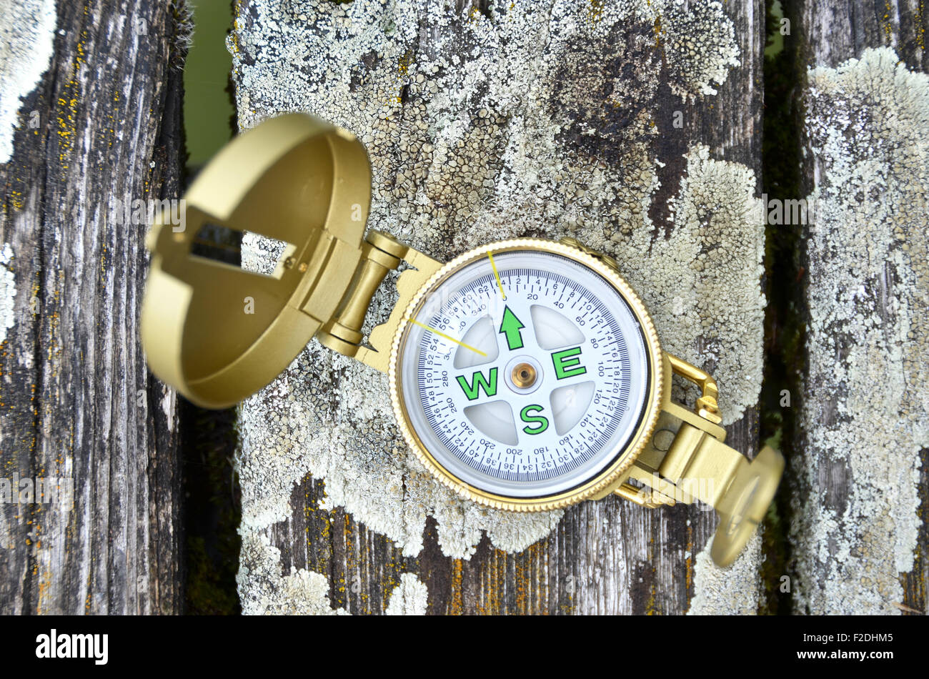 Wood compass hi-res stock photography and images - Alamy