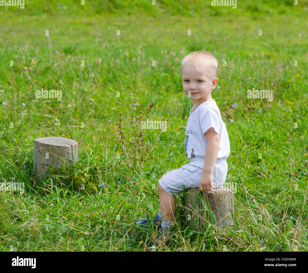 the child,2 years,walk,stump sits,pleasure,game,a smile,summer,park,the ...