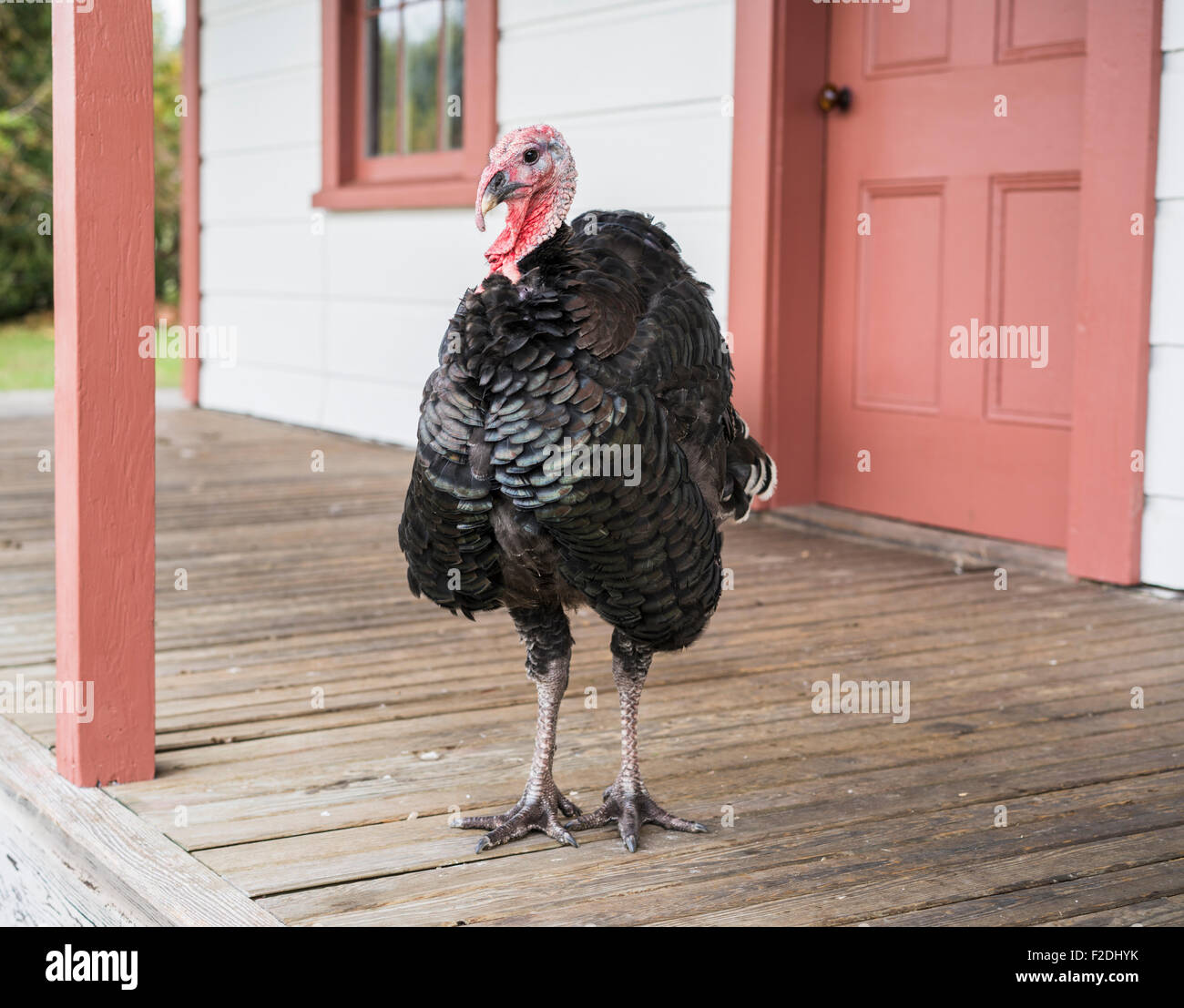 Ruckle farm provincial park hi-res stock photography and images - Alamy