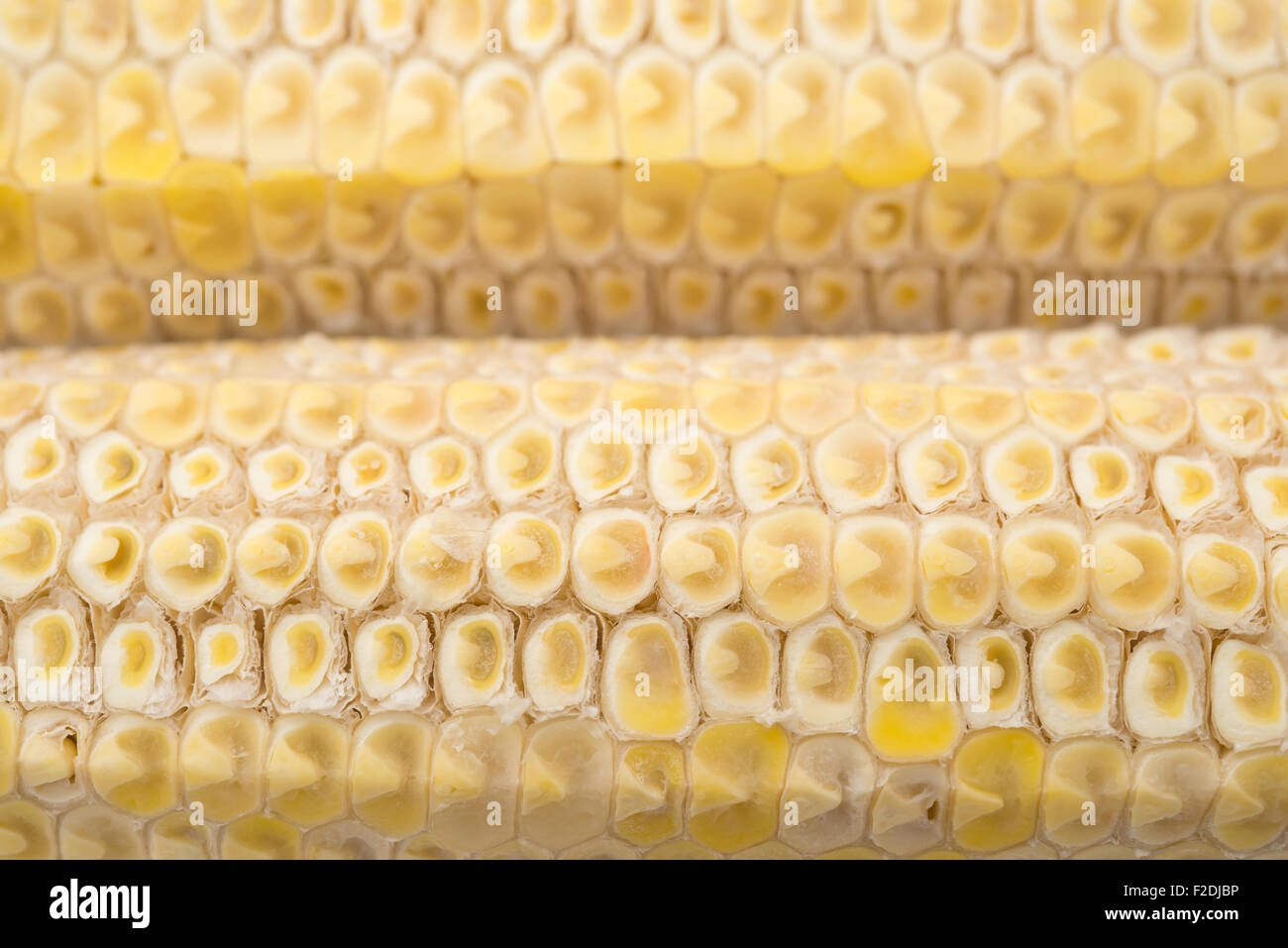 cob cornstick close up as background Stock Photo - Alamy