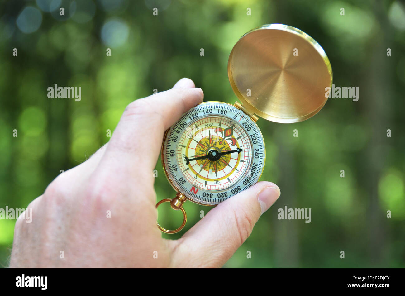 Compass in the hand Stock Photo - Alamy