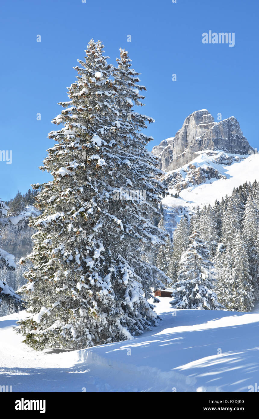 Braunwald switzerland hi-res stock photography and images - Alamy