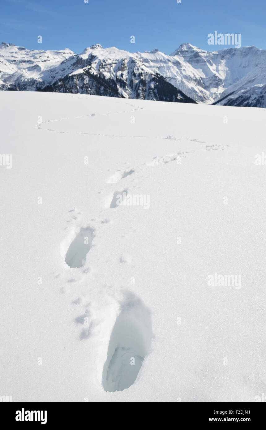 Footprints in the deep snow. Switzerland Stock Photo - Alamy