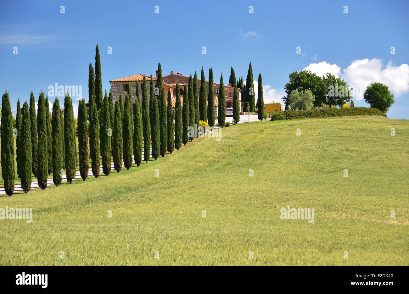 Walk of the cypress trees hi-res stock photography and images - Alamy
