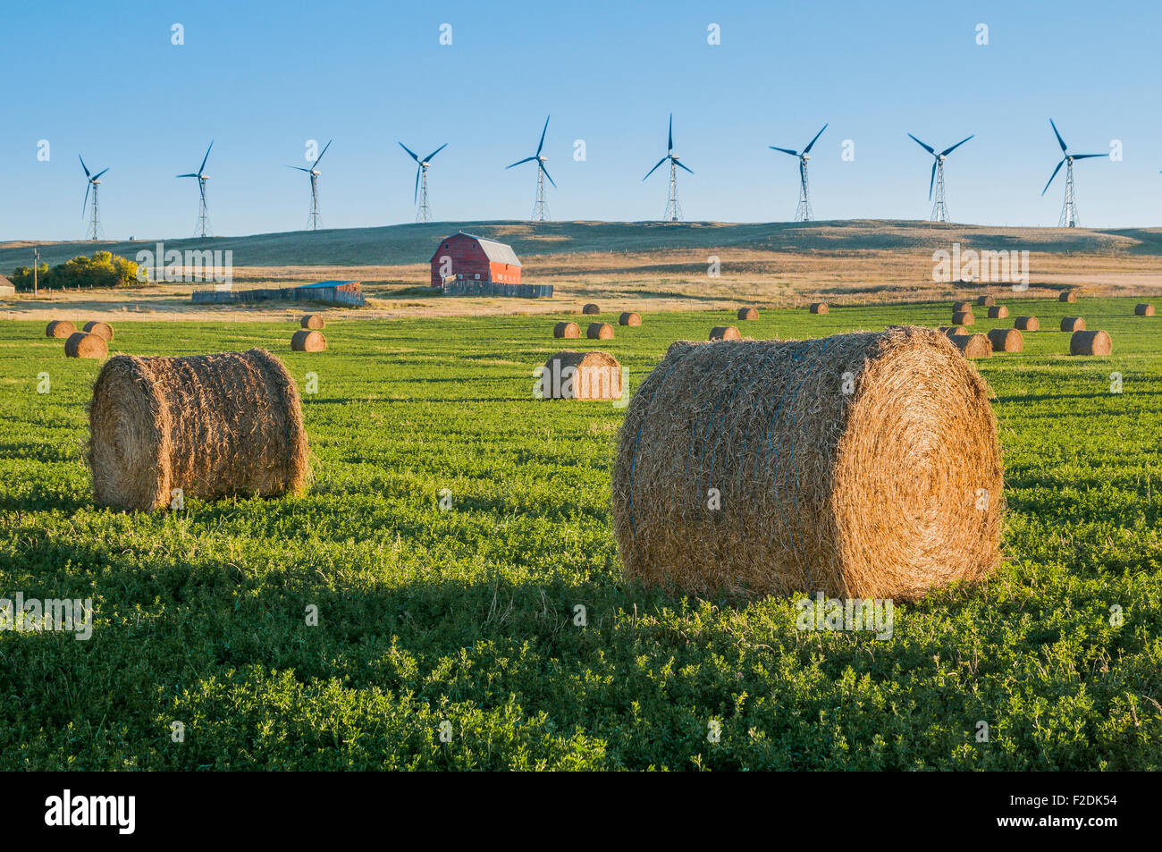 Hay bales and farm, with Cowley Ridge wind plant generator turbines in ...