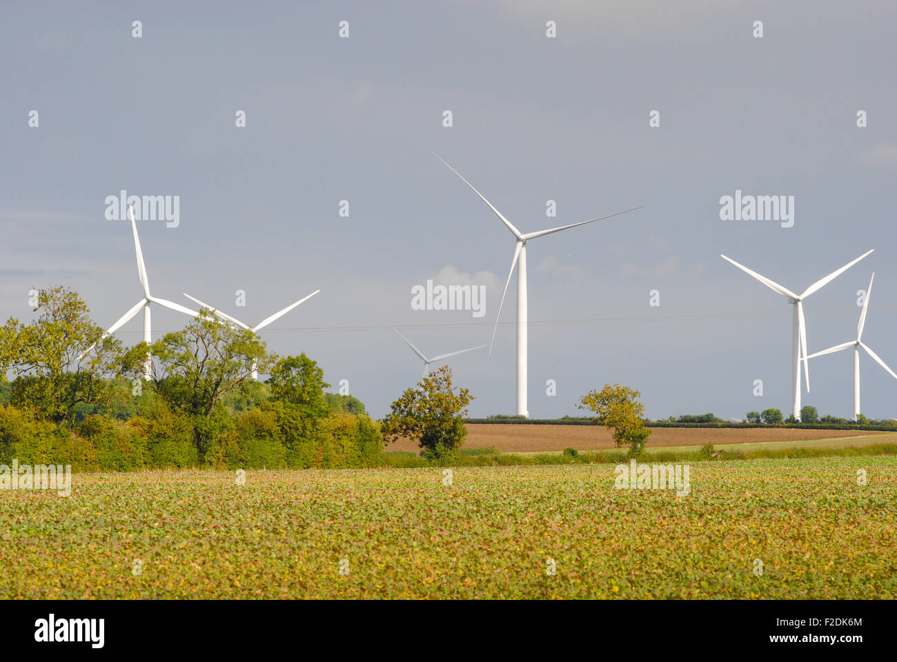 Windmill energy farm Stock Photo - Alamy