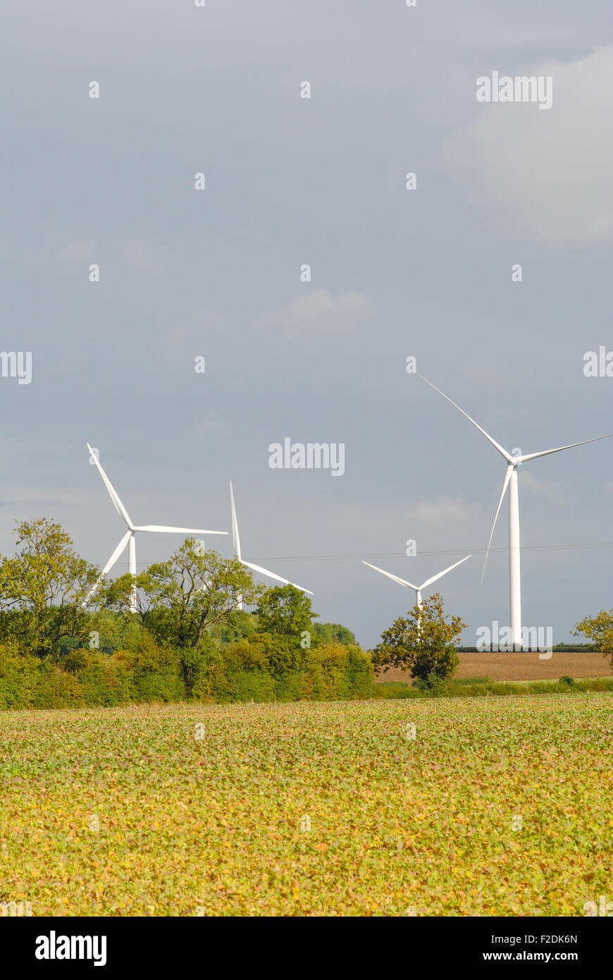 Windmill energy farm Stock Photo - Alamy