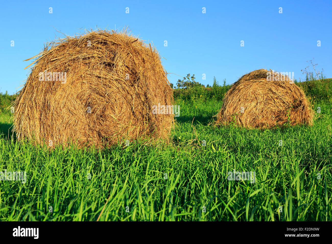 Sunrise on the reaping hi-res stock photography and images - Alamy