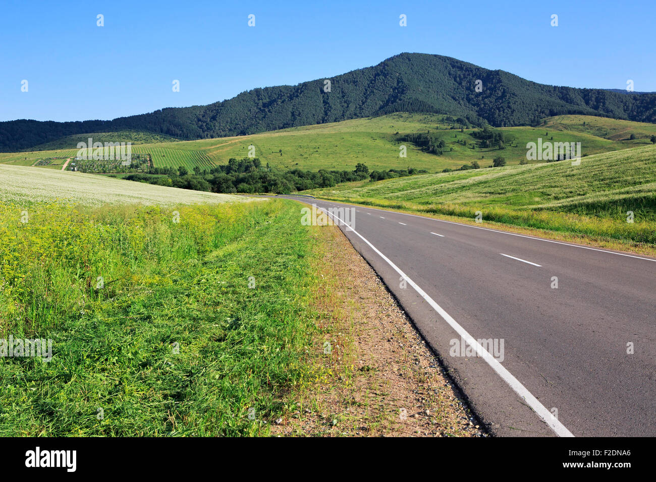 Beautiful road among farm fields Stock Photo - Alamy