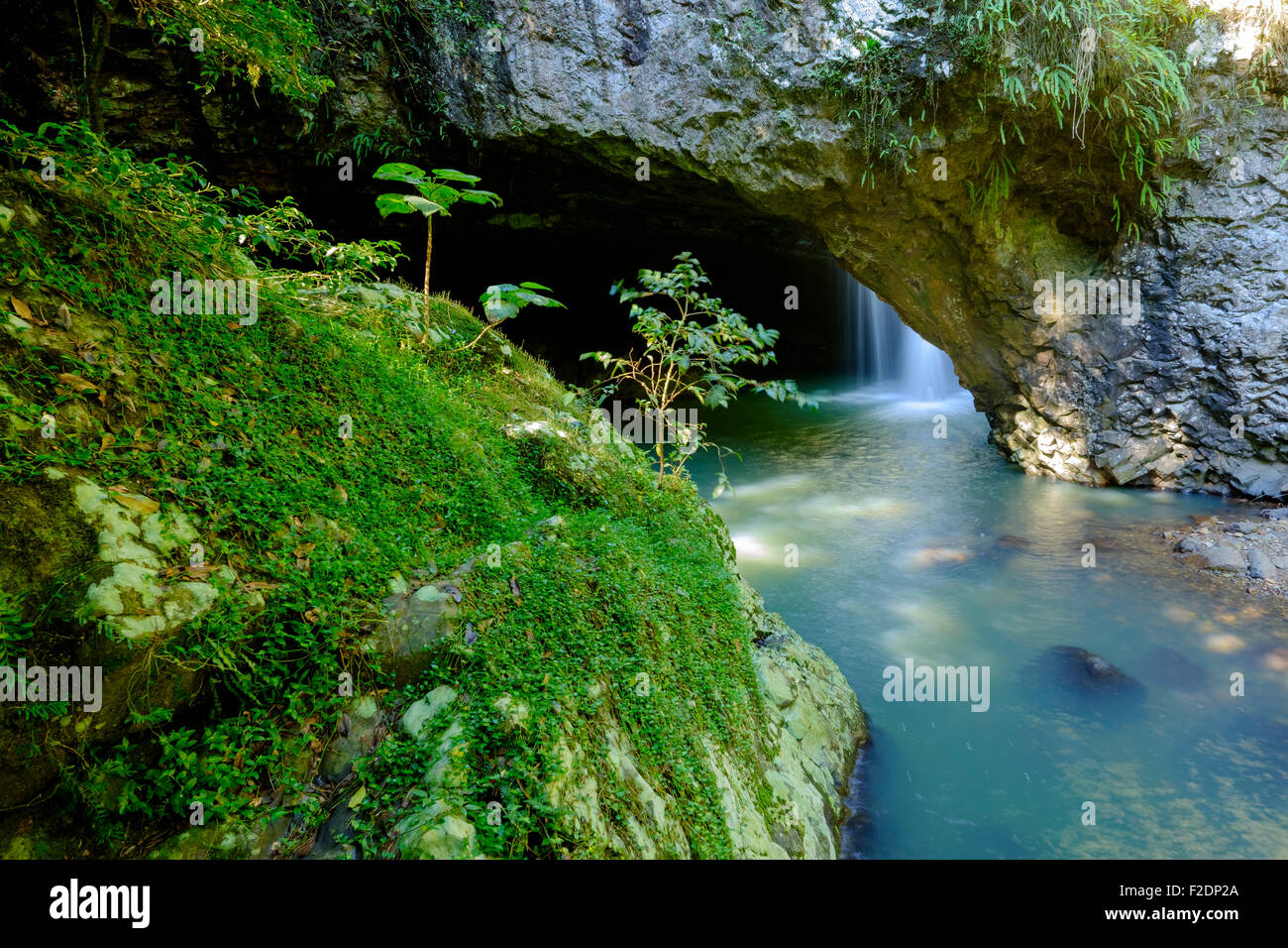 Natural Bridge at Springbrook National Park Stock Photo - Alamy