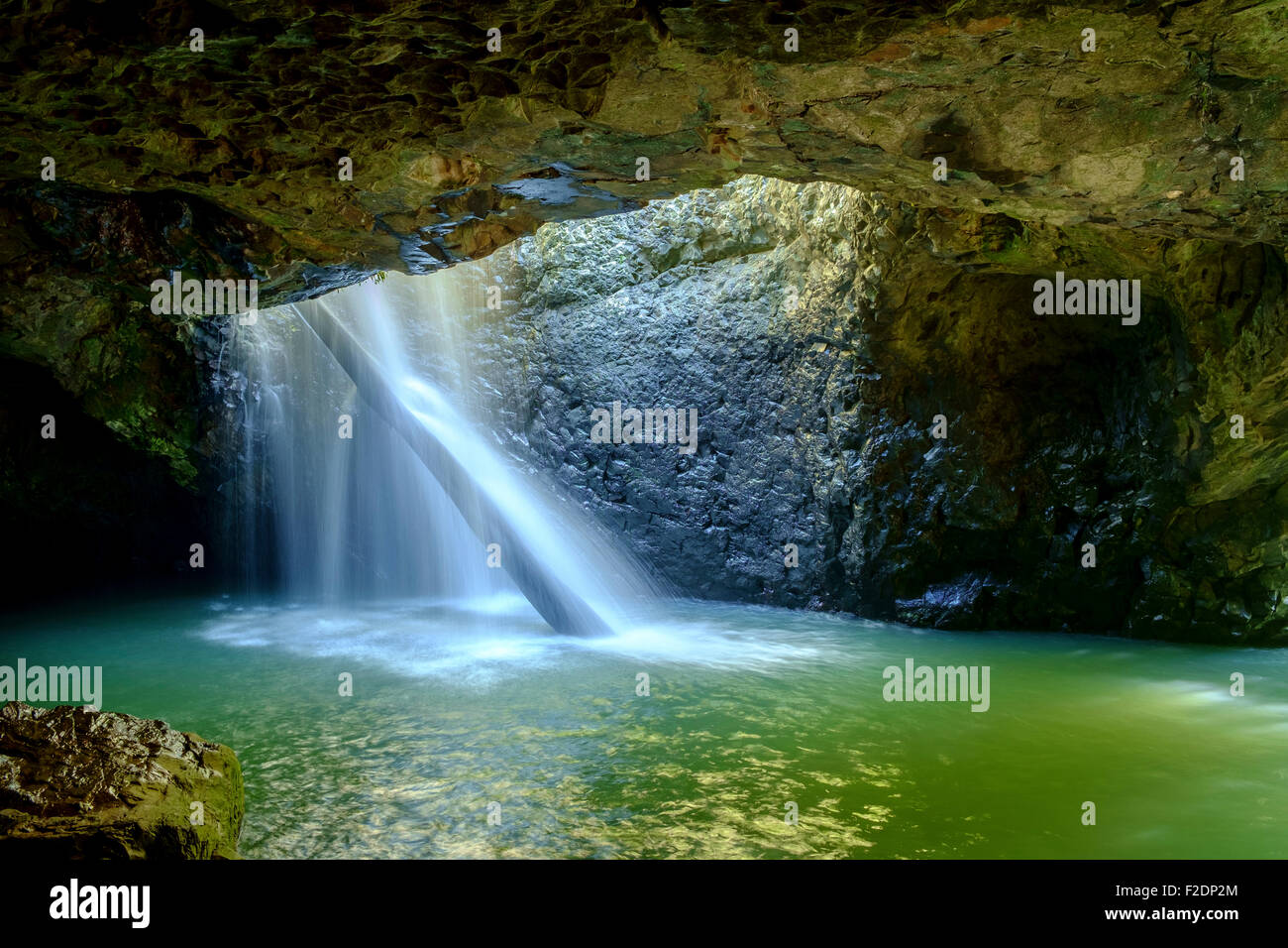 Springbrook national park hi-res stock photography and images - Alamy