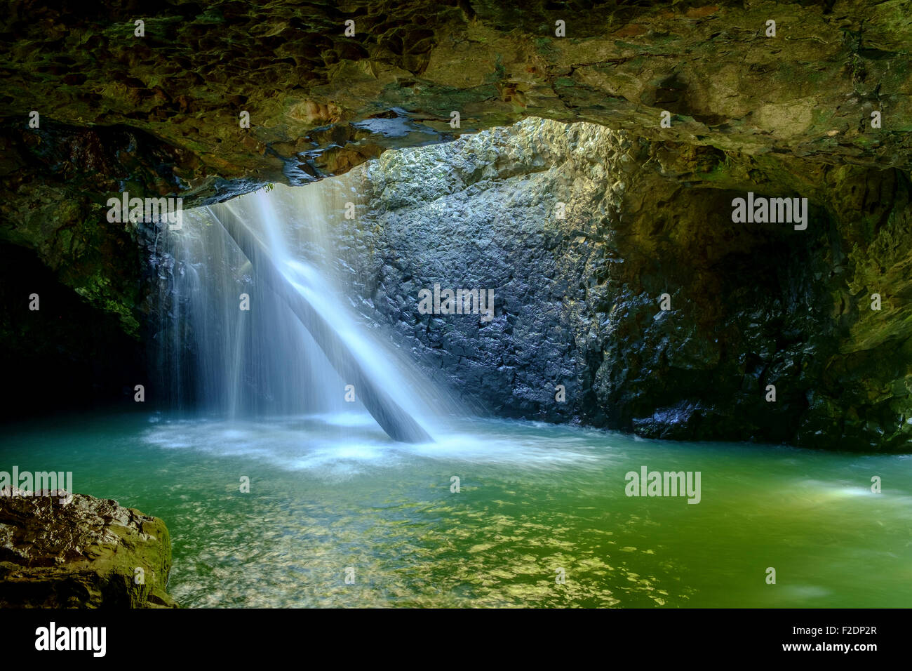 Natural Bridge at Springbrook National Park Stock Photo - Alamy