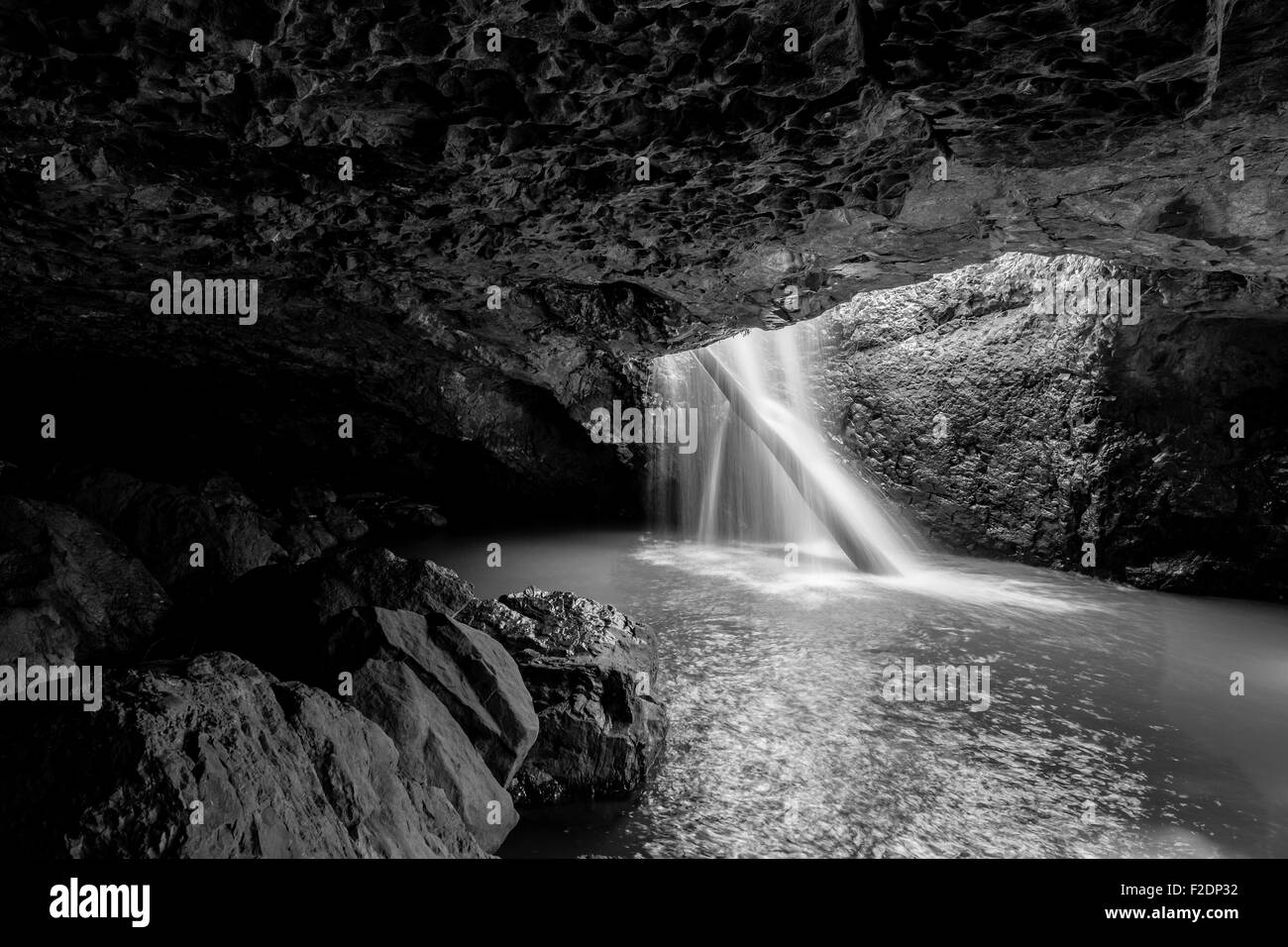 Springbrook national park hi-res stock photography and images - Alamy