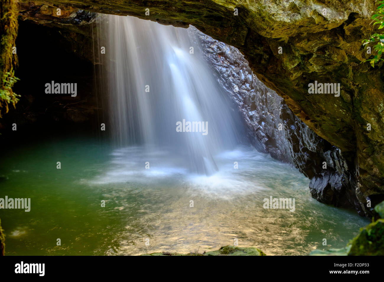 Natural Bridge at Springbrook National Park Stock Photo - Alamy