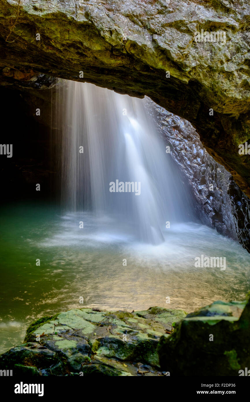 Natural Bridge at Springbrook National Park Stock Photo - Alamy