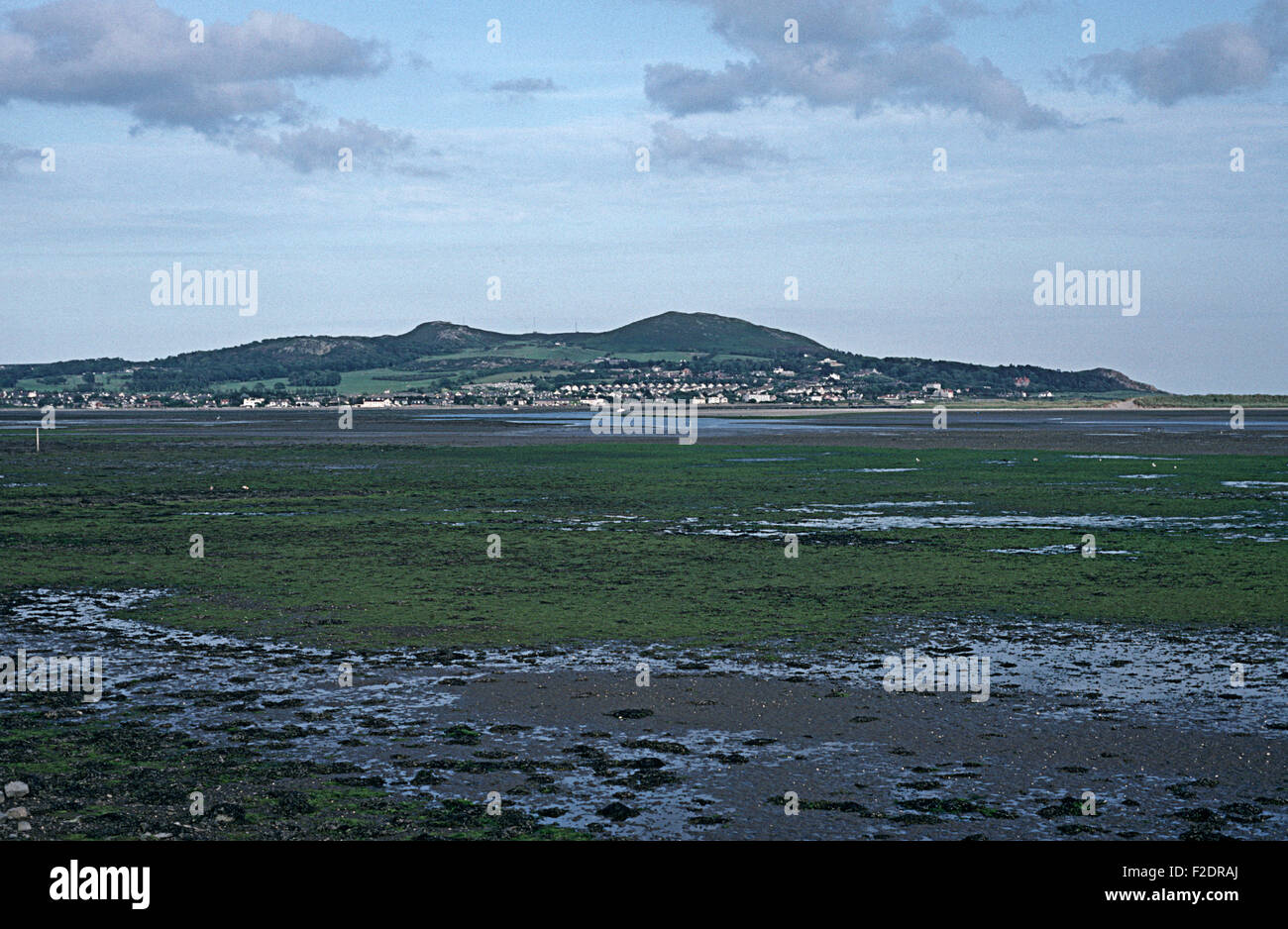 James of ireland hi-res stock photography and images - Alamy