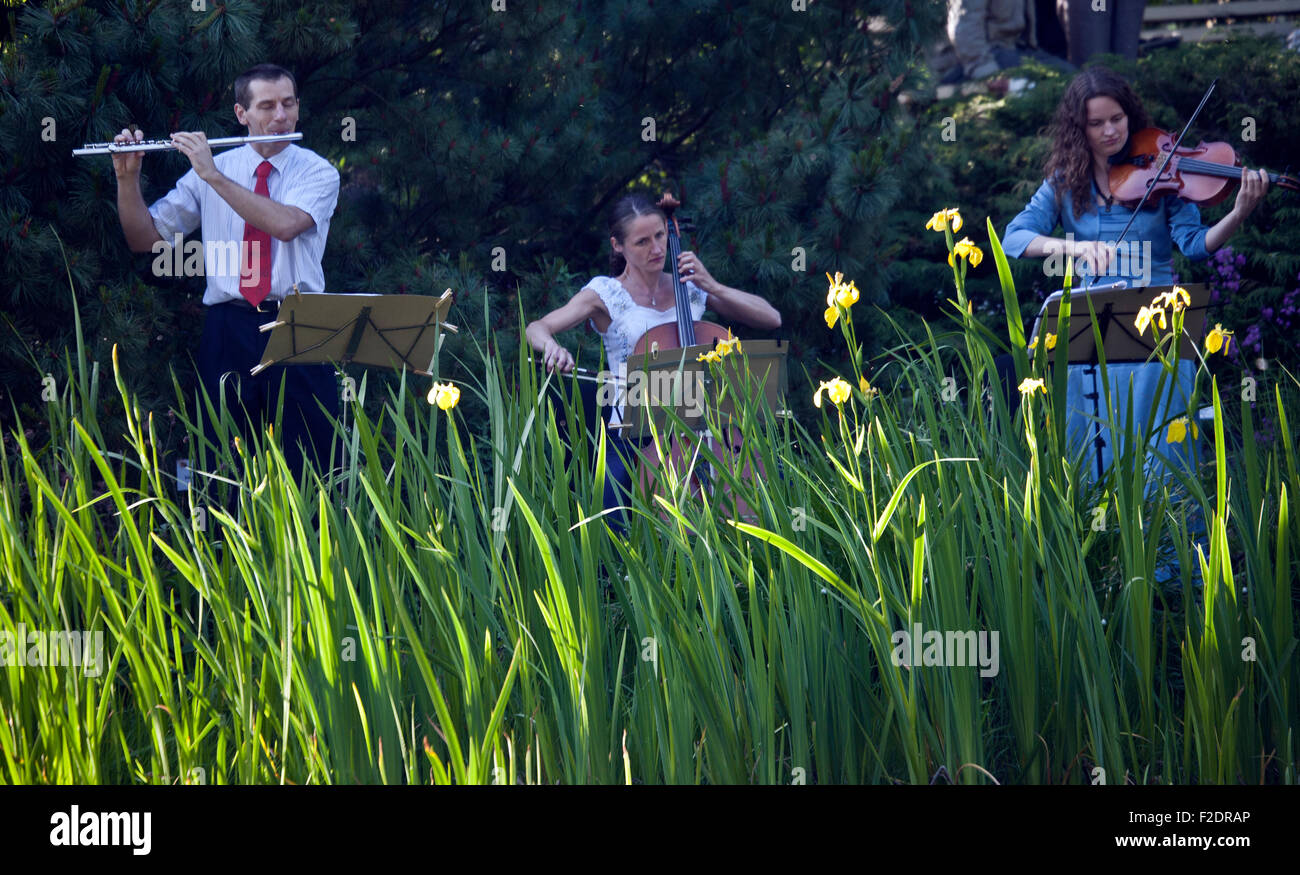 Group musicians play music performance hi-res stock photography and ...