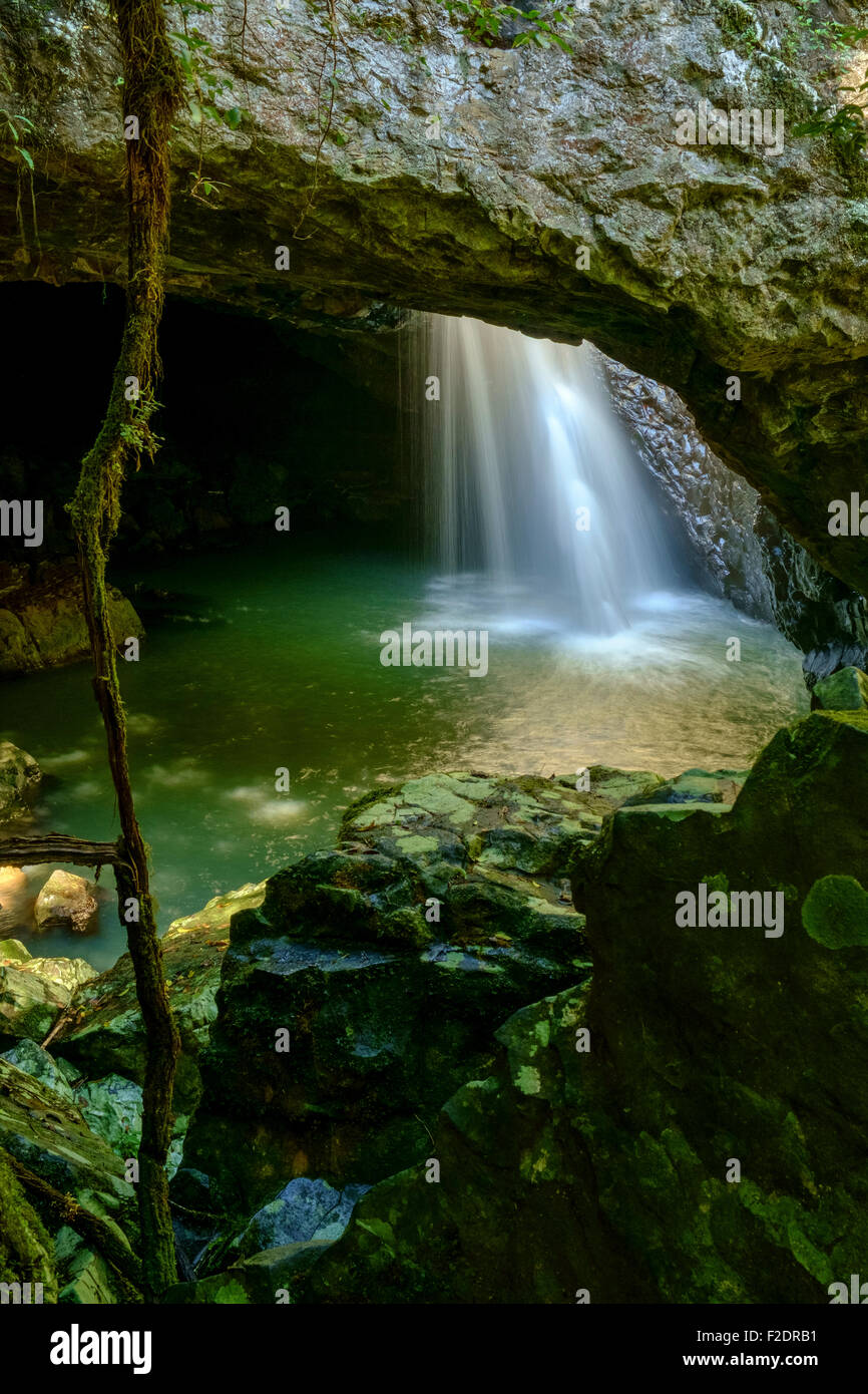 Natural Bridge at Springbrook National Park Stock Photo - Alamy