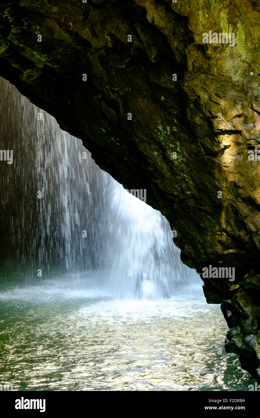 Natural Bridge at Springbrook National Park Stock Photo - Alamy