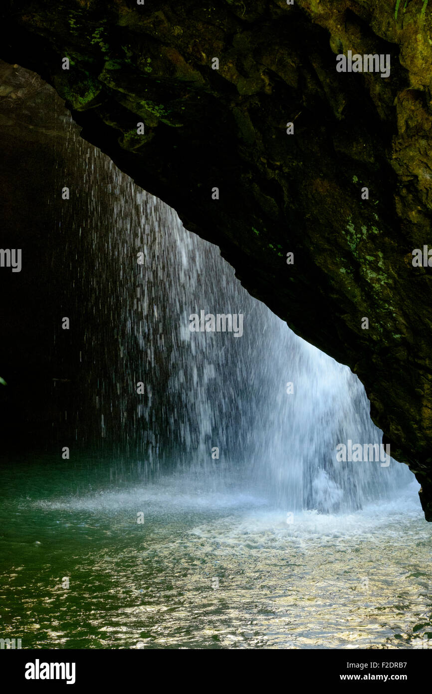 Natural Bridge at Springbrook National Park Stock Photo - Alamy