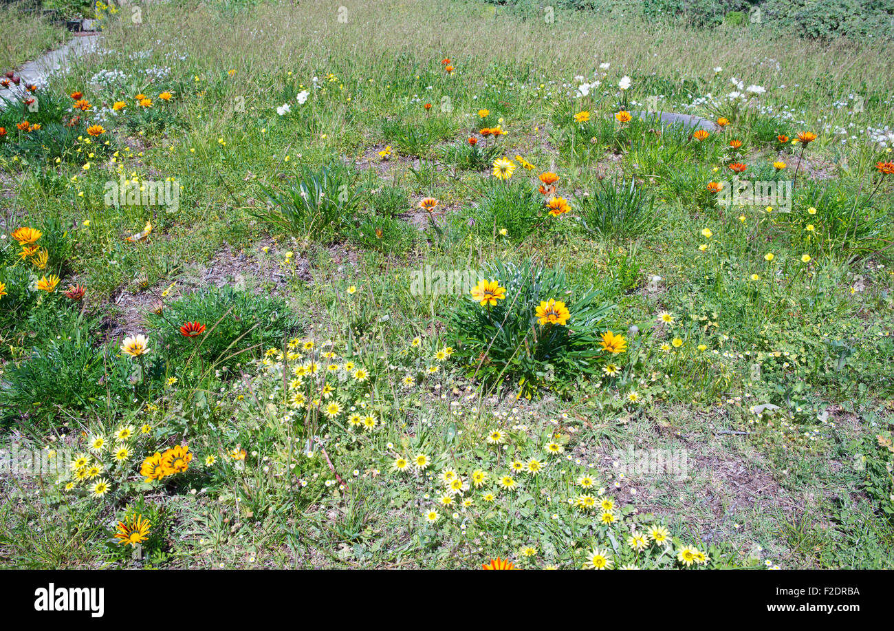 Spring time In Perth Stock Photo - Alamy