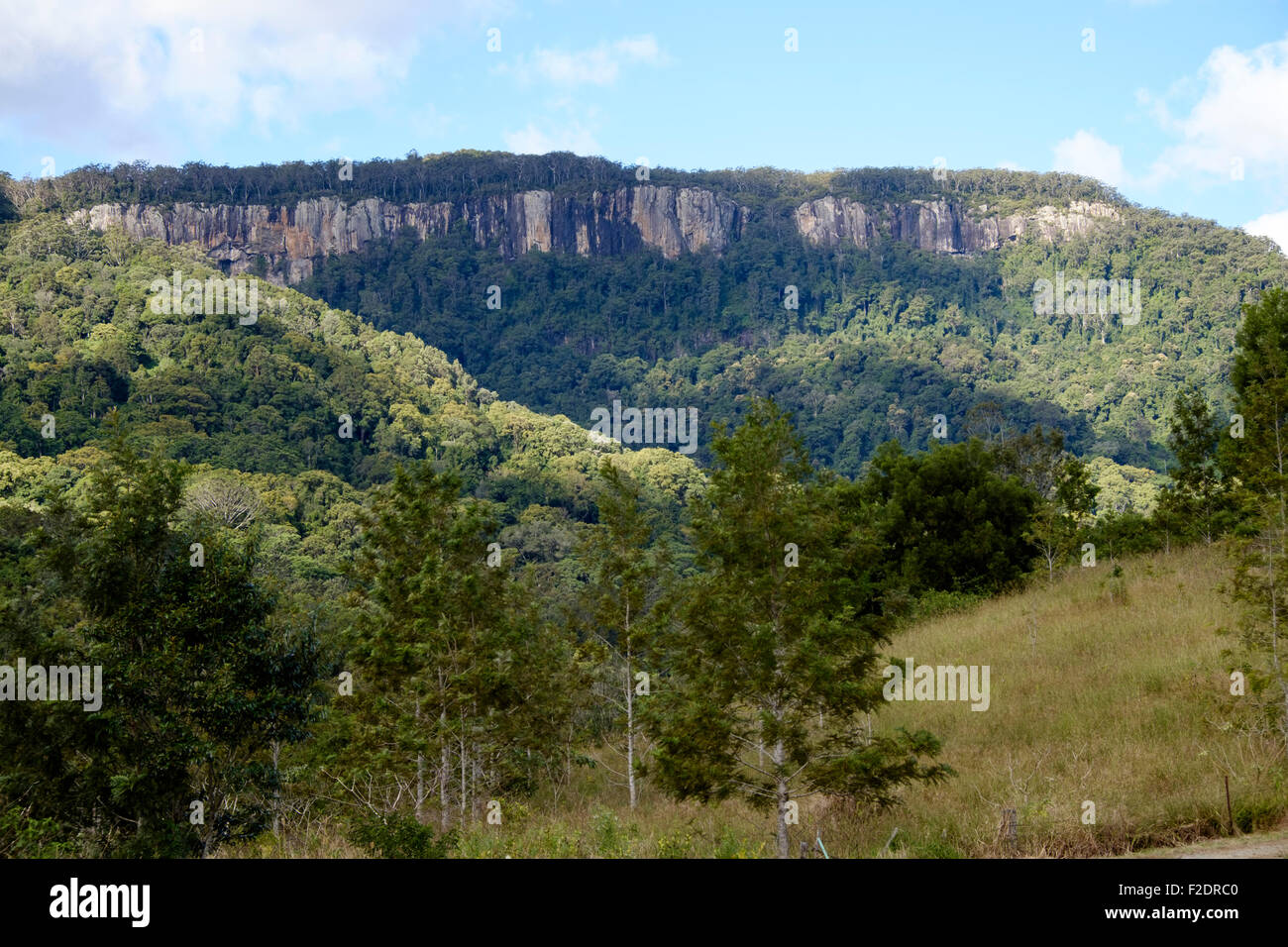 Numinbah valley hi-res stock photography and images - Alamy