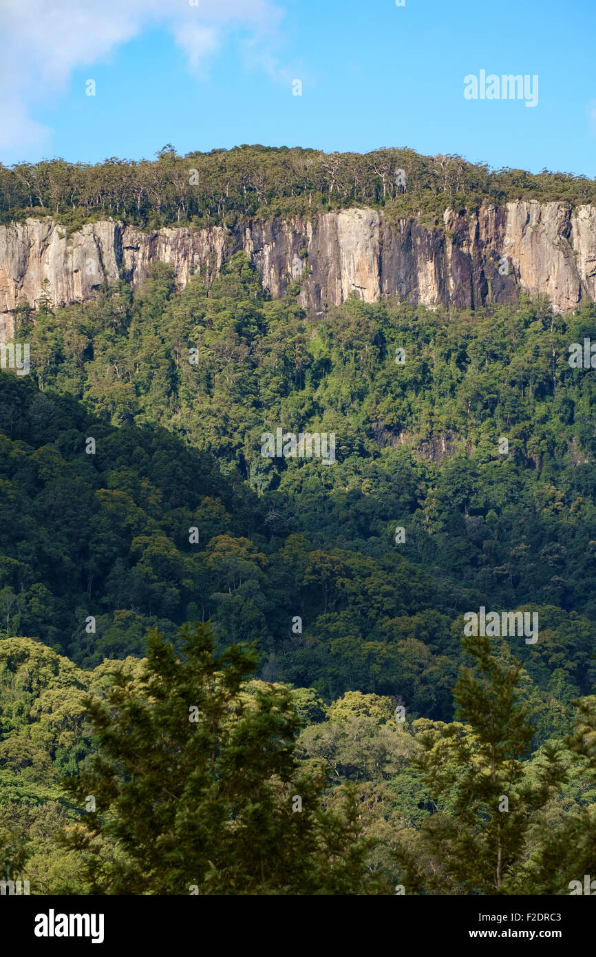 Numinbah valley hi-res stock photography and images - Alamy