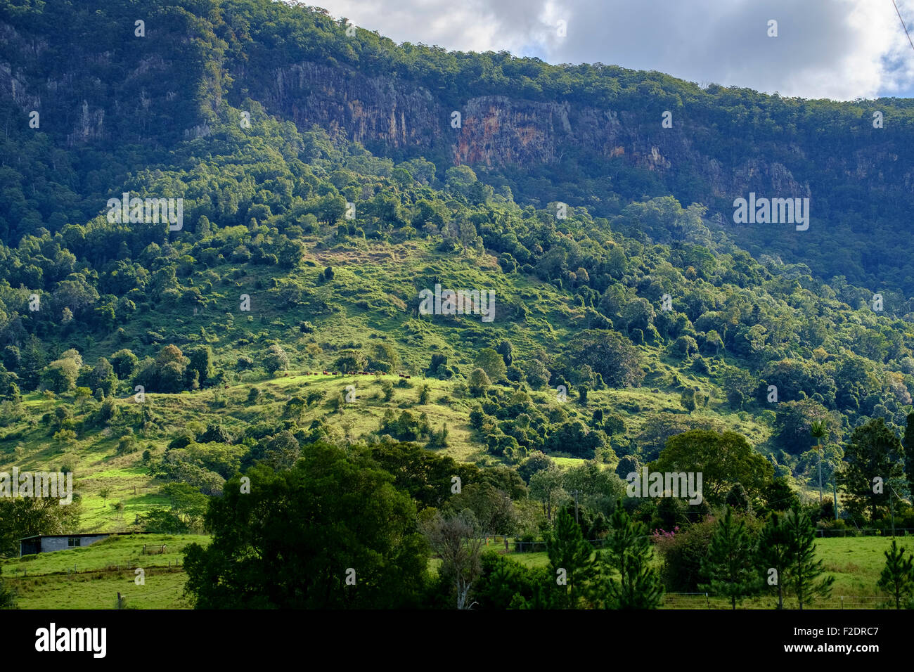Australia queensland numinbah valley hi-res stock photography and ...