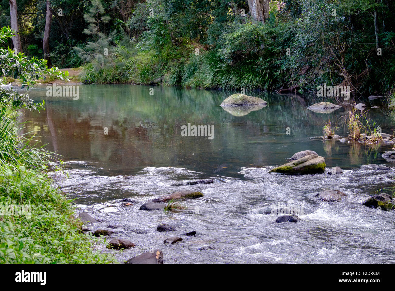 The Nerang River at Lyons Crossing, Numinbah Valley Stock Photo - Alamy