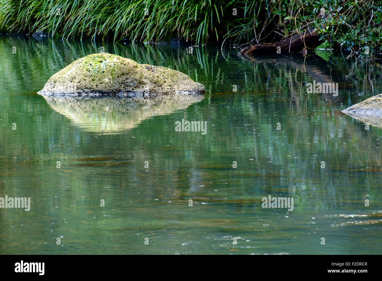 The Nerang River at Lyons Crossing, Numinbah Valley Stock Photo - Alamy