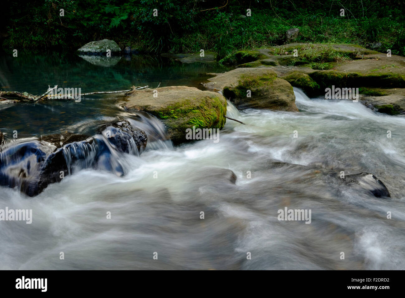 The Nerang River at Lyons Crossing, Numinbah Valley Stock Photo - Alamy