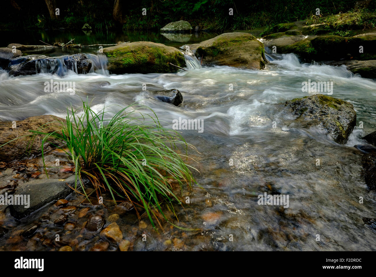 The Nerang River at Lyons Crossing, Numinbah Valley Stock Photo - Alamy