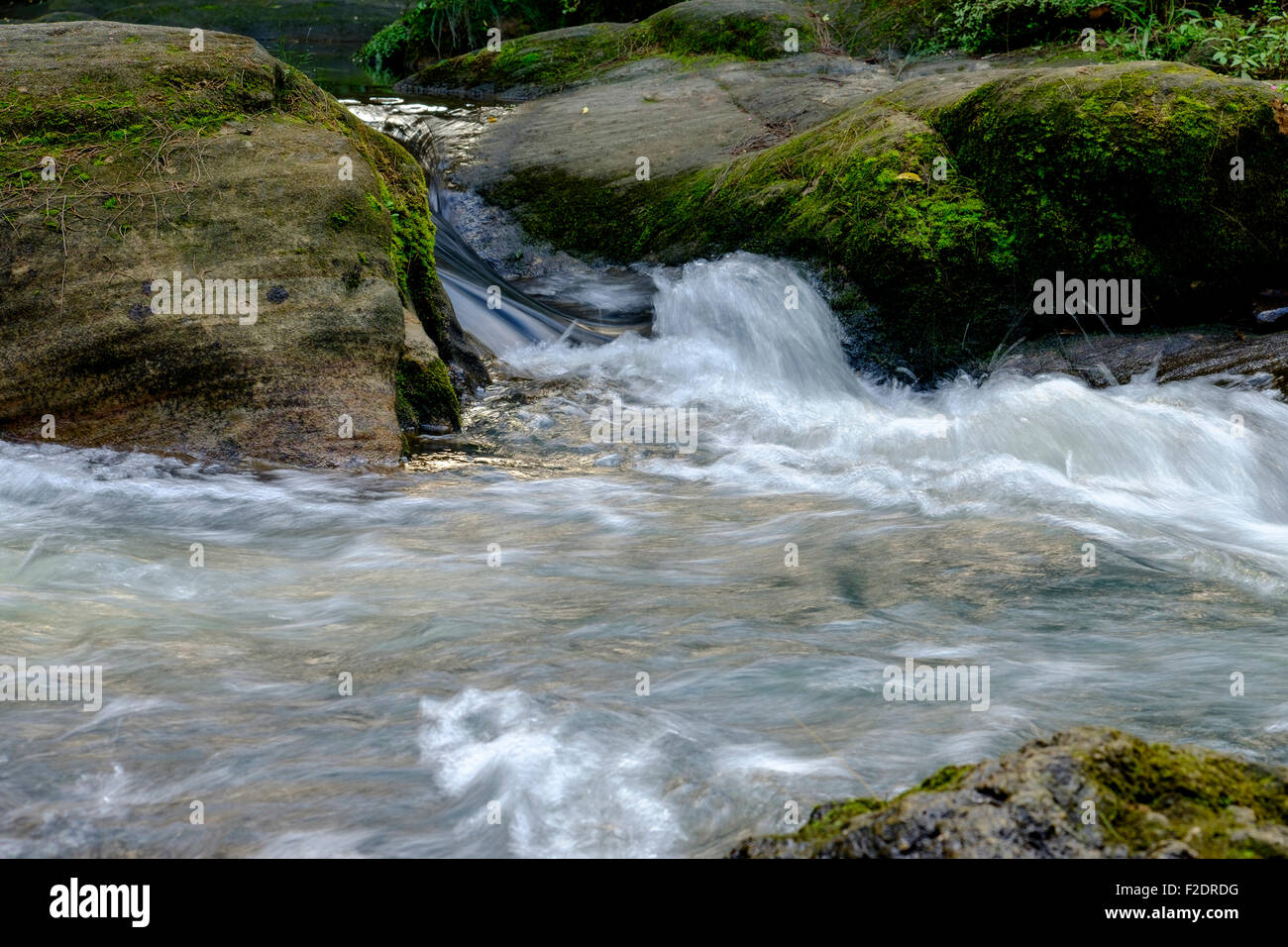 The Nerang River at Lyons Crossing, Numinbah Valley Stock Photo - Alamy