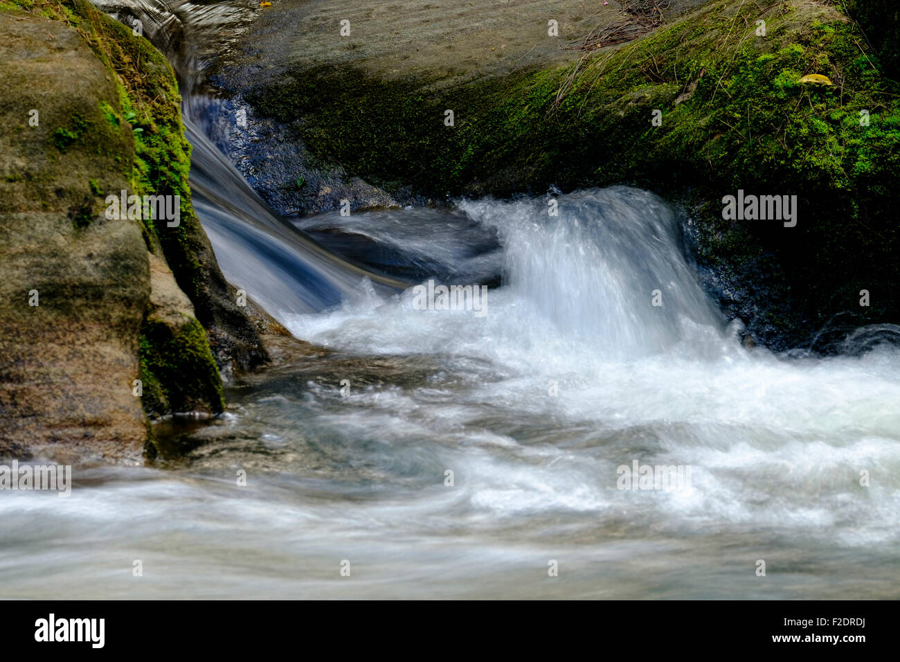 The Nerang River at Lyons Crossing, Numinbah Valley Stock Photo - Alamy
