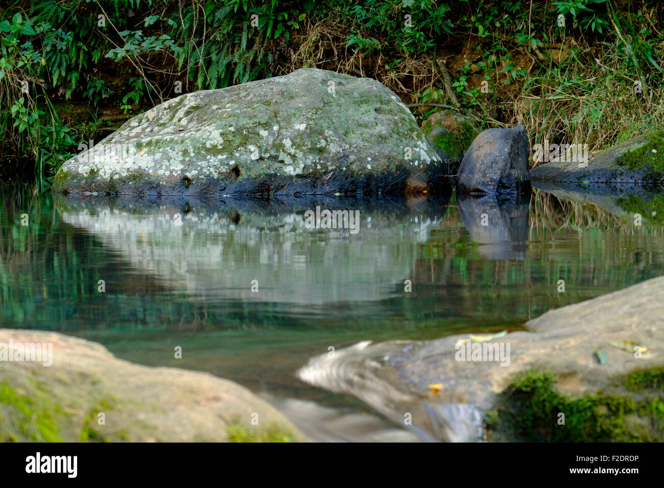 Australia queensland numinbah valley hi-res stock photography and ...