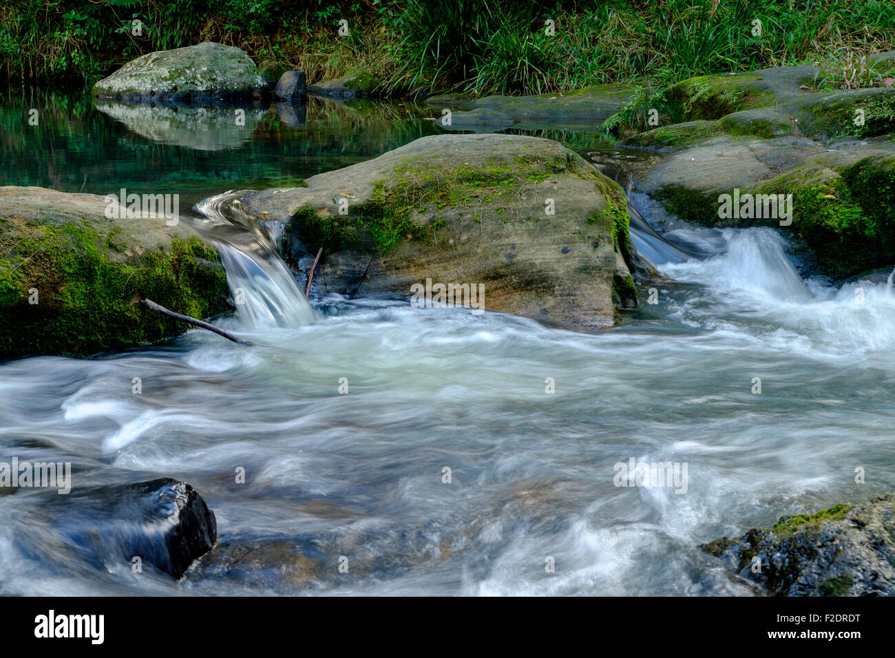 The Nerang River at Lyons Crossing, Numinbah Valley Stock Photo - Alamy