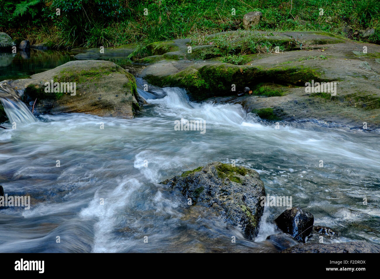 The Nerang River at Lyons Crossing, Numinbah Valley Stock Photo - Alamy