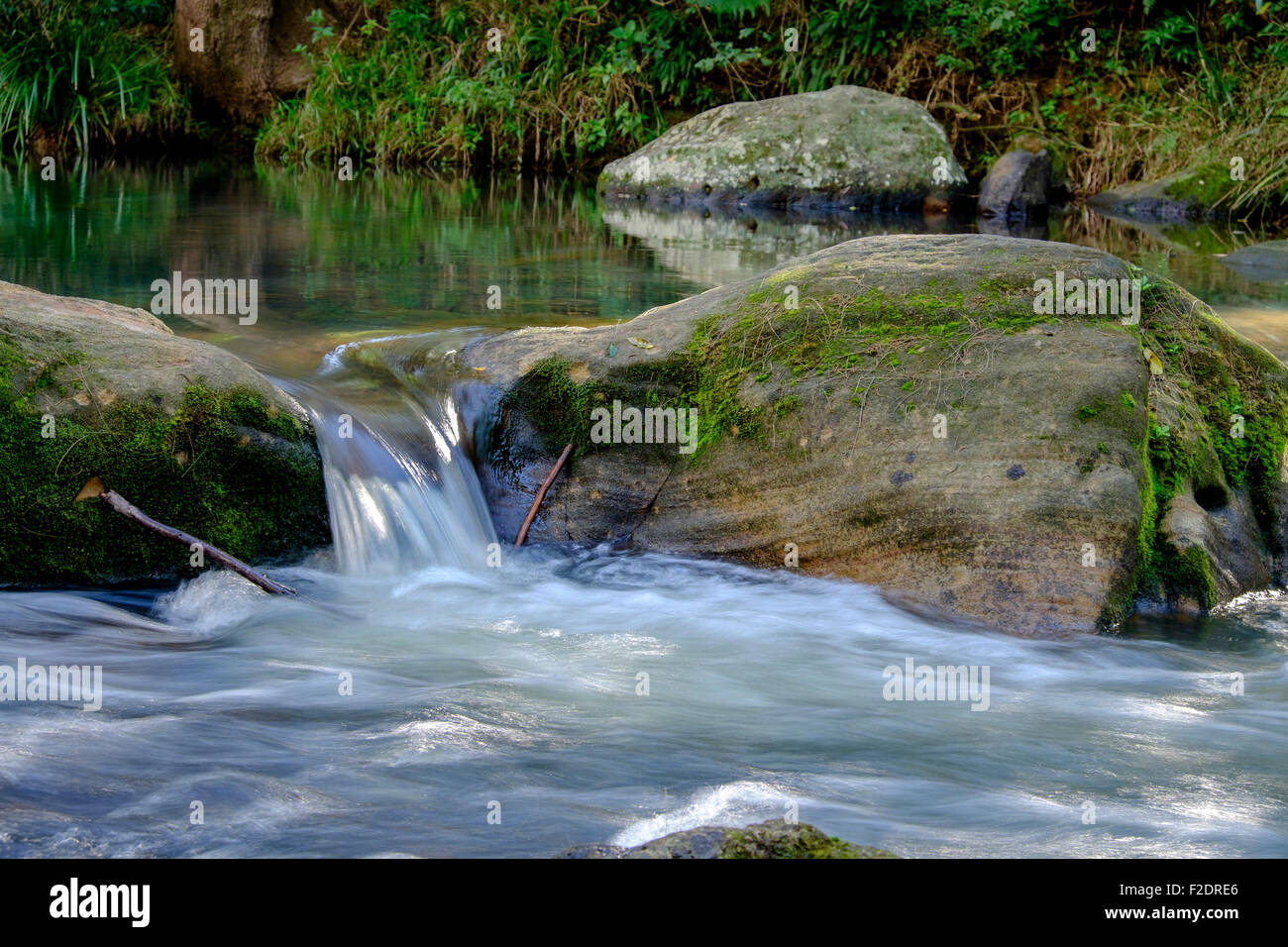 Numinbah valley hi-res stock photography and images - Alamy