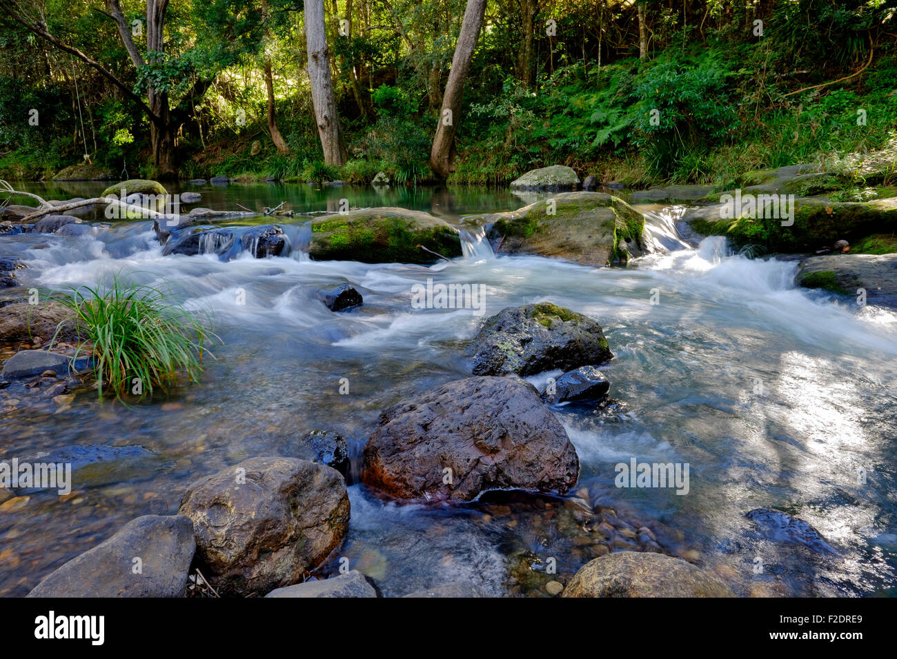 The Nerang River at Lyons Crossing, Numinbah Valley Stock Photo - Alamy
